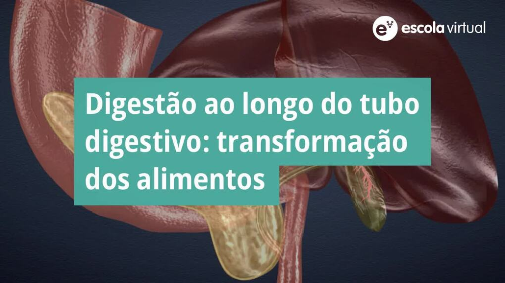 Escola Virtual - Digestão ao longo do tubo digestivo: transformação dos ...