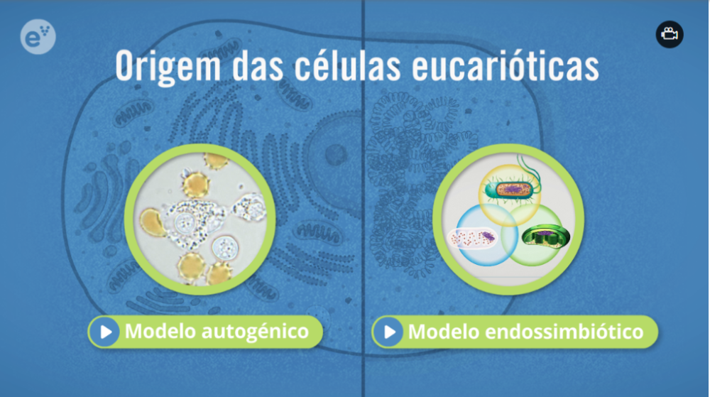 Origem das células eucarióticas - Escola Virtual