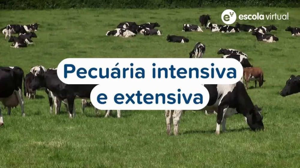 Pecuária intensiva e extensiva - Escola Virtual